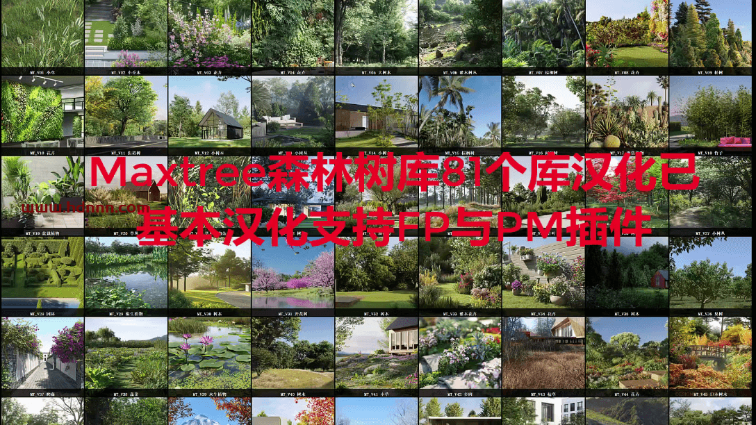 3DMax森林插件 汉化版Forest Pack Pro 树库集 Maxtree 共 81套专辑_HD设计网